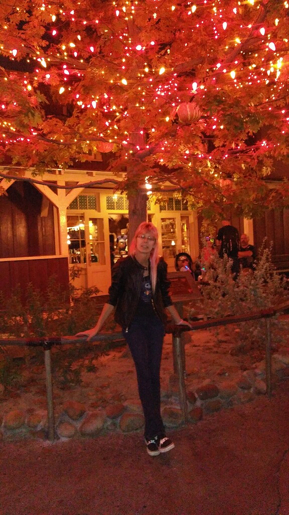 Disneyland's The Halloween tree in honor of Ray Bradbury - Disneyland ...