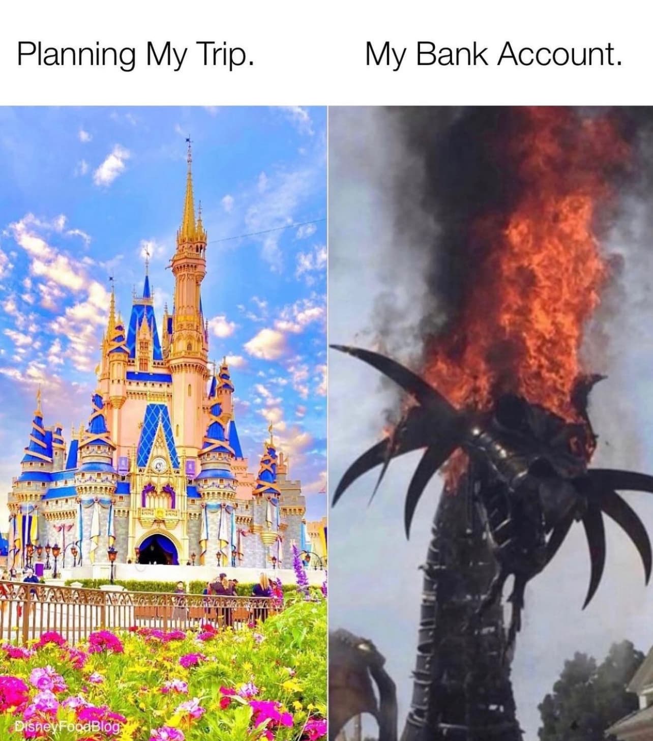 Disney World Memes