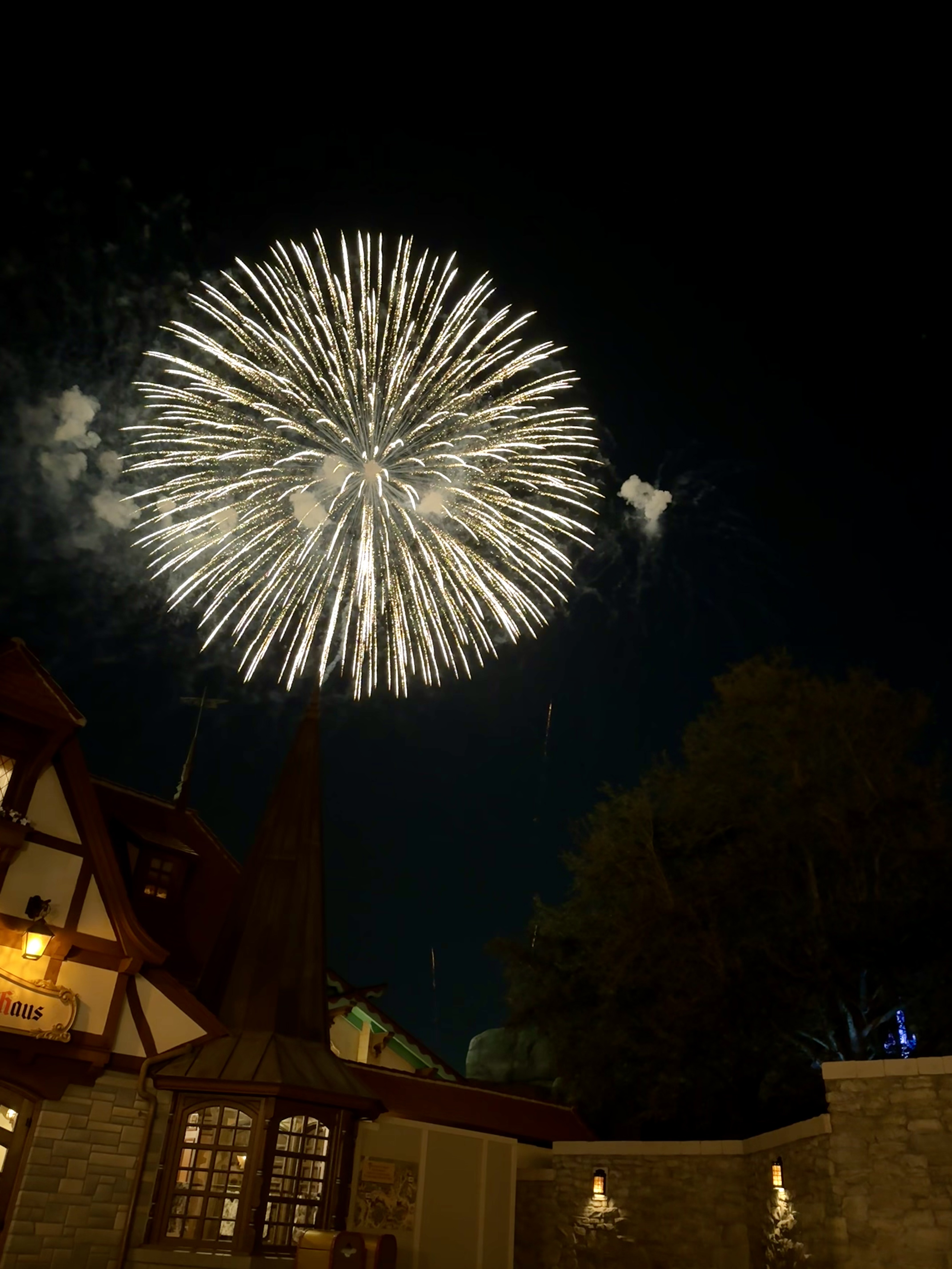 Advice for viewing Happily Ever After fireworks? - Walt Disney World ...