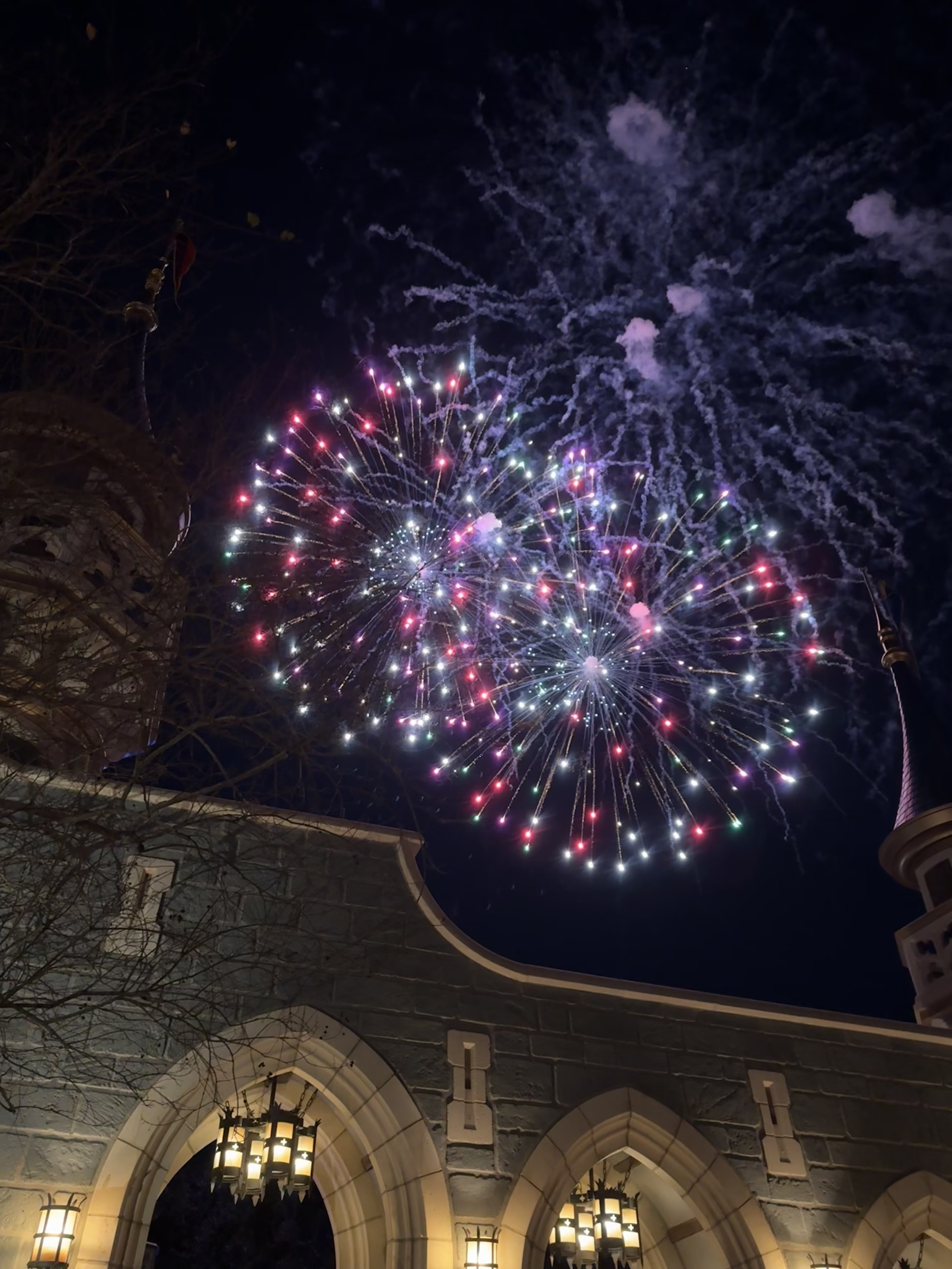 Advice for viewing Happily Ever After fireworks? - Walt Disney World ...